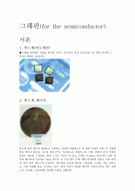 그래핀(for the semiconductor)-1페이지