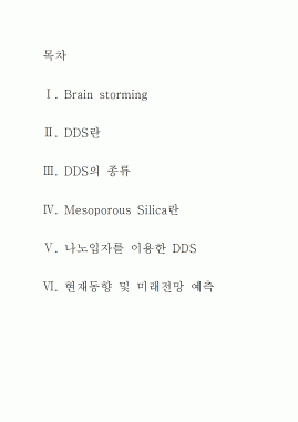 약물전달체계(DDS)-1페이지