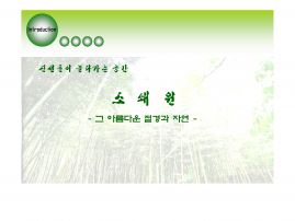한국의 전통조경공간 소쇄원에 대하여-1페이지