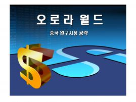 오로라 월드 중국진출 마케팅성공 사례 SWOT-1페이지