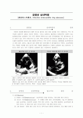 감염성 심내막염-1페이지