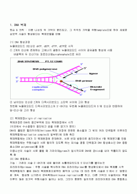 세포학 기말 DNA 복제-1페이지