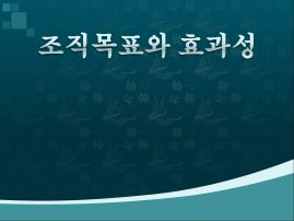 조직의 목표와 효과성 파워포인트 -1페이지