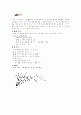 디스플레이 임계각 및 편광원리-1페이지