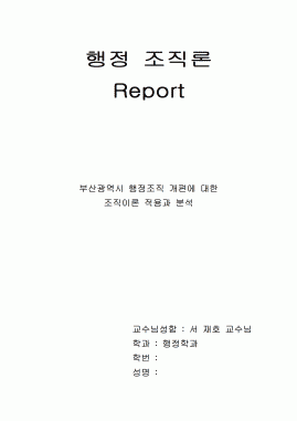 부경대 행정학과 서재호 교수님  - 부산광역시 조직개편에 대한 조직이론 적용과 분석-1페이지