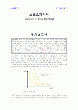 무차별 곡선과 소비자 곡선 그리고 생산자 잉여에 관한 레포트-1페이지