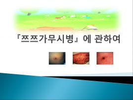 쯔쯔가무시병에 관하여 -1페이지