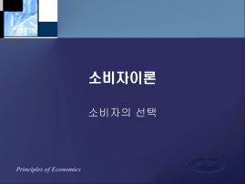 소비자 이론(선택)PPT-1페이지