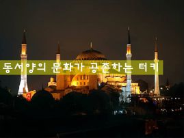 동서양의 문화가 공존하는 터키-1페이지