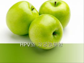 자궁경부암(HPV)-1페이지