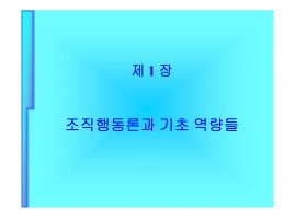 조직행동론과 기초 역량들-1페이지