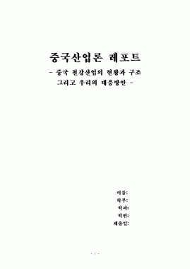 중국산업론 중국의 철강산업-1페이지