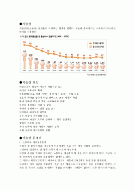 저출산 문제에 관하여-1페이지