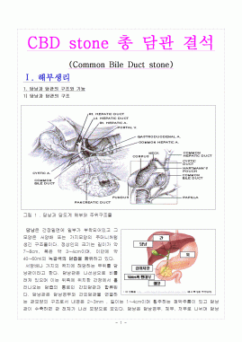 총담관결석 CASE (Common Bile Duct stone) 진단3개-1페이지