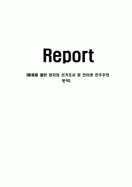 매체를 통한 정치와 선거조사 및 인터넷 민주주의 분석-1페이지