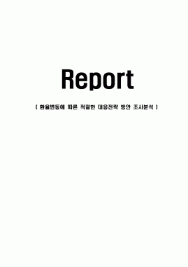 환율변동에 따른 적절한 대응전략 방안 조사분석 -1페이지