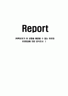 북핵보유가 이 상황을 해결할 수 없는 이유와 6자회담에 의한 분석조사-1페이지