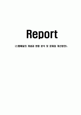 스펨메일의 개념과 현황 분석 및 문제점 개선방안-1페이지