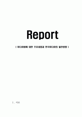 미디어법에 대한 주요내용과 한국미디어의 발전방향-1페이지