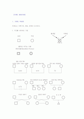 [가계도 활용기법] 가계도와 사례-1페이지