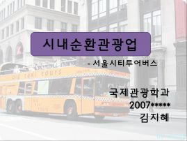시내순환관광업 서울시티투어버스를 중심으로 -1페이지