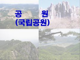 [우리나라공원]공원의 정의&공원의 역사& 공원의 발전과 방향에 관한 발표자료-1페이지