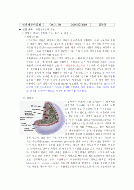 광합성 & 종이 크로마토그래피-1페이지