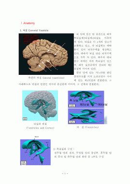 V Pshunt Anatomy Physiology Pathology-1페이지