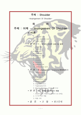 [상해및재활] 어깨 견관절 충돌 증후군-1페이지