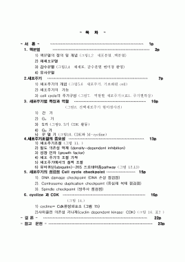 세포주기를 조절하는 물질과 전반적인 메커니즘 (cel cycle)-1페이지