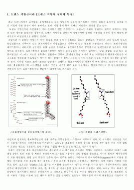 트랜스지방에 대한 모든 것-1페이지