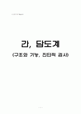 (간호학)간담도계의 구조적 기능과 진단적 검사-1페이지