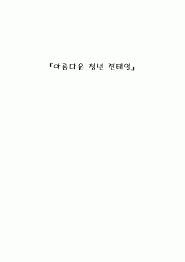 아름다운 청년 전태일 줄거리 및 느낀점-1페이지