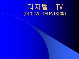 디지털 TV의 마케팅 경영 전략 분석-1페이지