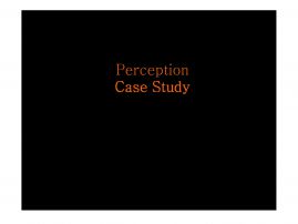 Perception case study-1페이지