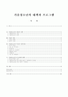 가출 청소년의 대책과 프로그램-1페이지