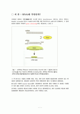 RNAi에 대해서-1페이지