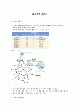 세균 (박테리아) - 광합성 세균류,질소고정 박테리아,무기영양세균(Lithotrophs),메탄 산화 박테리아,Methanogens 등-1페이지