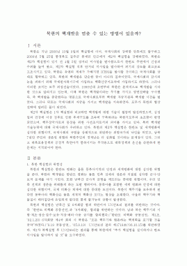 북한의 핵개발을 멈출수 있는 방법이 있을까-1페이지