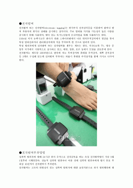 전자발찌에 대한 논란-1페이지