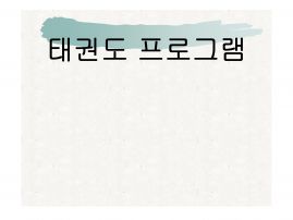 태권도 프로그램(예절,겨루기)-1페이지