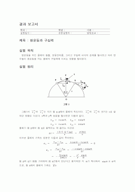 [일반물리학실험Ⅰ] 13장. 원운동과 구심력 (결과레포트)-1페이지