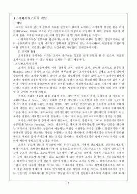 사회복지 조직이론 및 사회복지조직 구조-1페이지