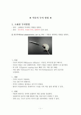 약물의 투여방법-1페이지