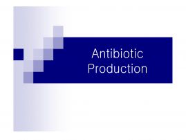 Antibiotic Production(항생제 산업)-1페이지