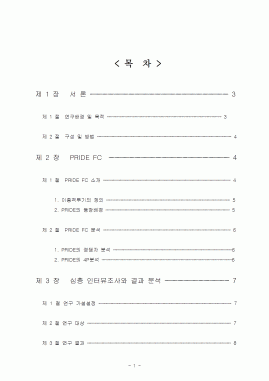 [사회과학] 이종격투기(PRIDE)에 대한 소비자 마케팅 전략 분석-1페이지