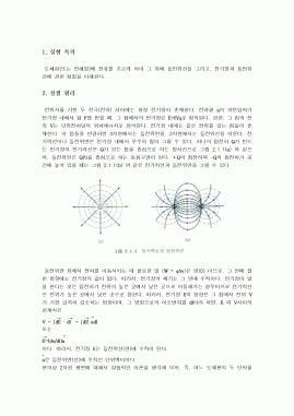 등전위선 실험 예비,결과 보고서-1페이지