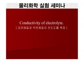 Conductance Behavior of Electrolytes-1페이지