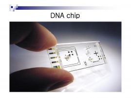 DNA칩의 원리,종류,응용분야에 관한 조사보고서-1페이지
