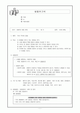 과학실험보고서 (1.우리 주위의 물질)-1페이지